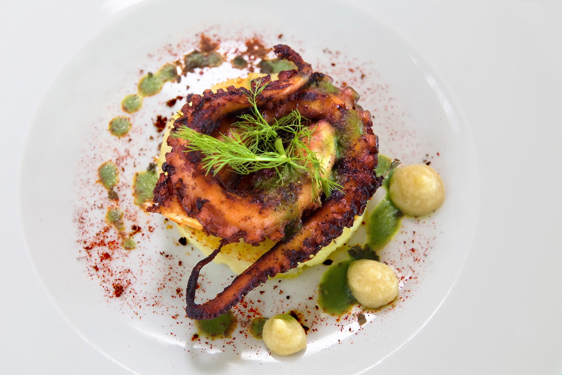 Cook - Asmana Wellness World Florence